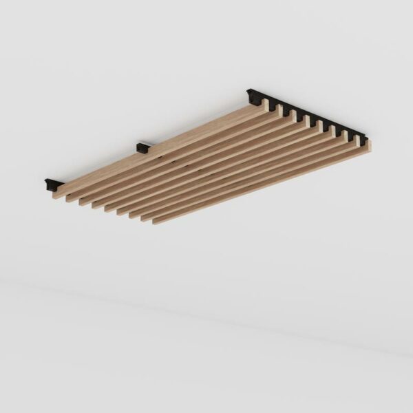 Plafonds Lao - Laudescher