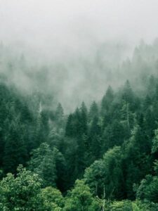 Convergence – Danone headquarters – Laudescher