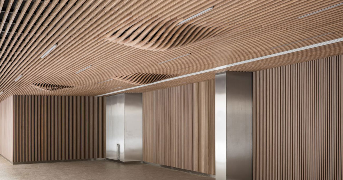 Linea Shape - Laudescher